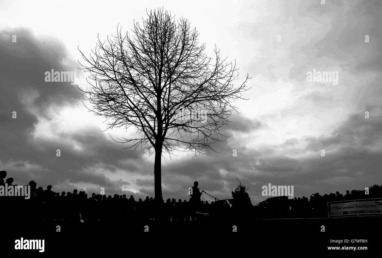 The ceremony to mark the official planting of the new Kent County ...