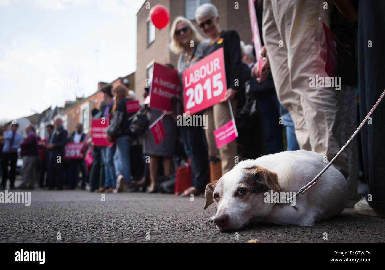 Leader Dog Nicktoons