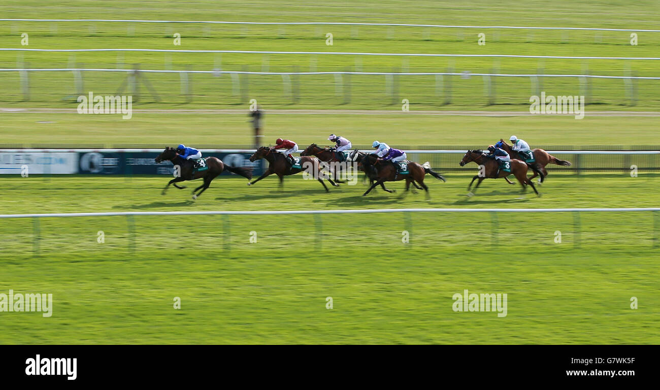 General stud book hi-res stock photography and images - Alamy