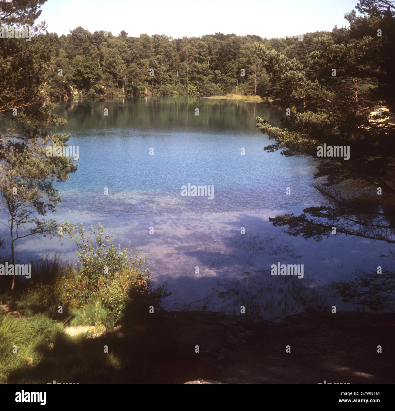 Blue pool wareham hi-res stock photography and images - Alamy