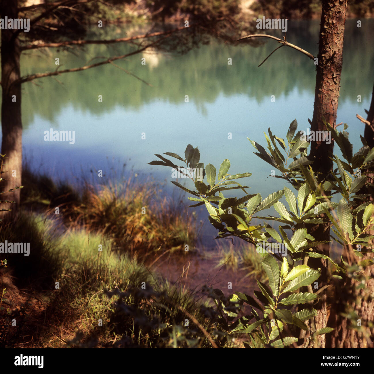 Buildings and Landmarks - The Blue Pool - Wareham Stock Photo - Alamy