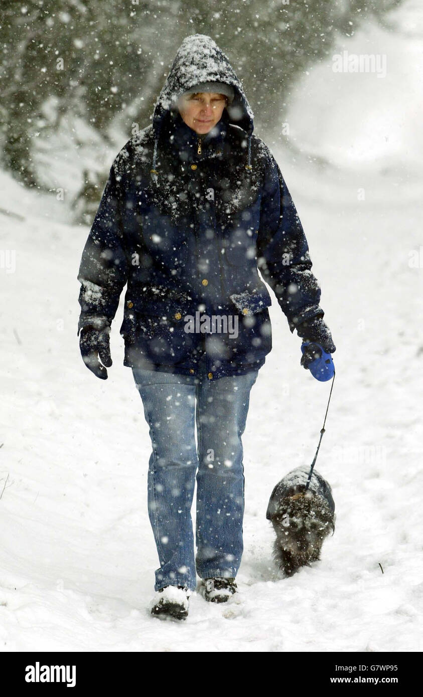 Winter Weather 2005 Stock Photo - Alamy