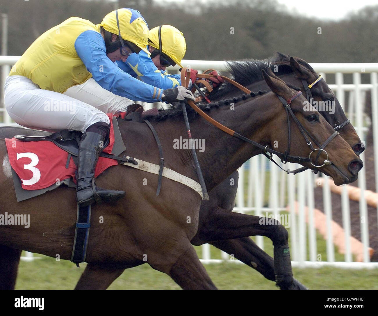 Horseracing - Newbury racecourse Stock Photo - Alamy