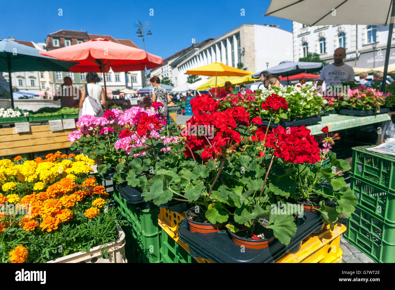 Zelny trh - square, Cabbage Market Square is a traditional market with ...