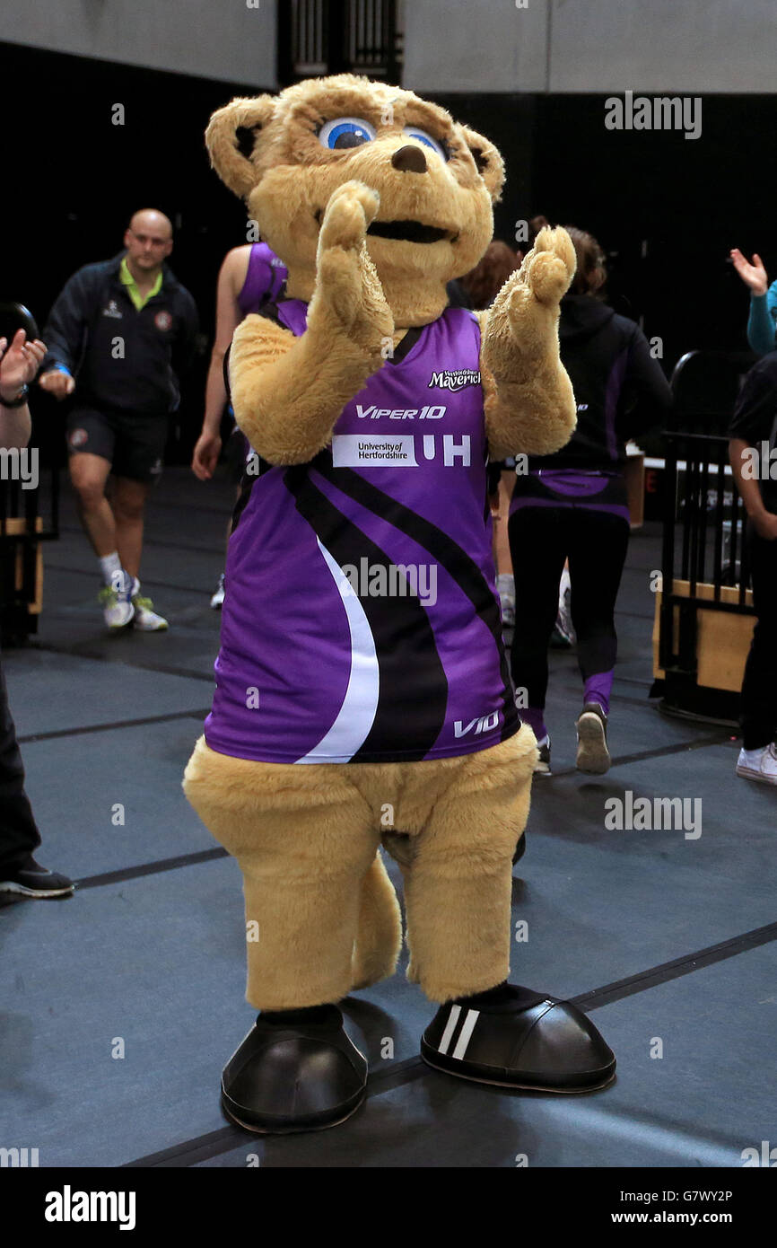 Hertfordshire mavericks mascot miranda meercat hi-res stock photography ...