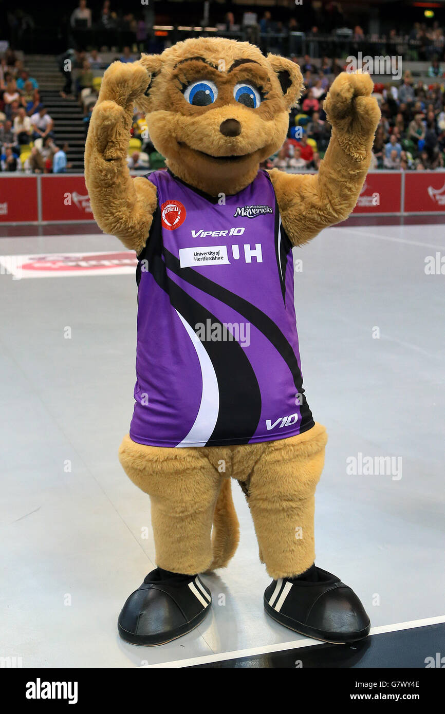 Hertfordshire mavericks mascot miranda meercat hi-res stock photography ...