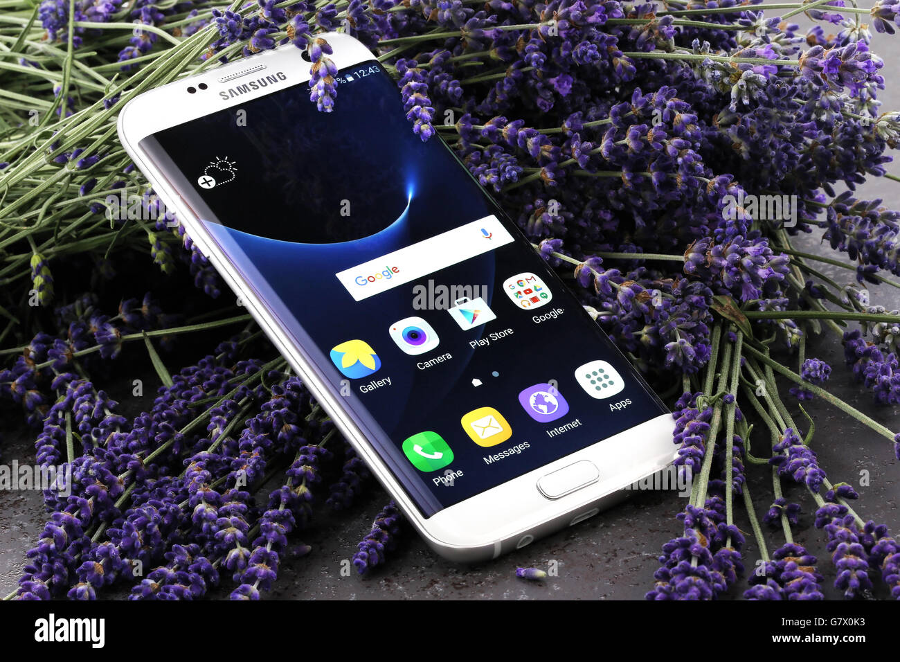 Samsung S7 EDGE on a lavender background Stock Photo - Alamy