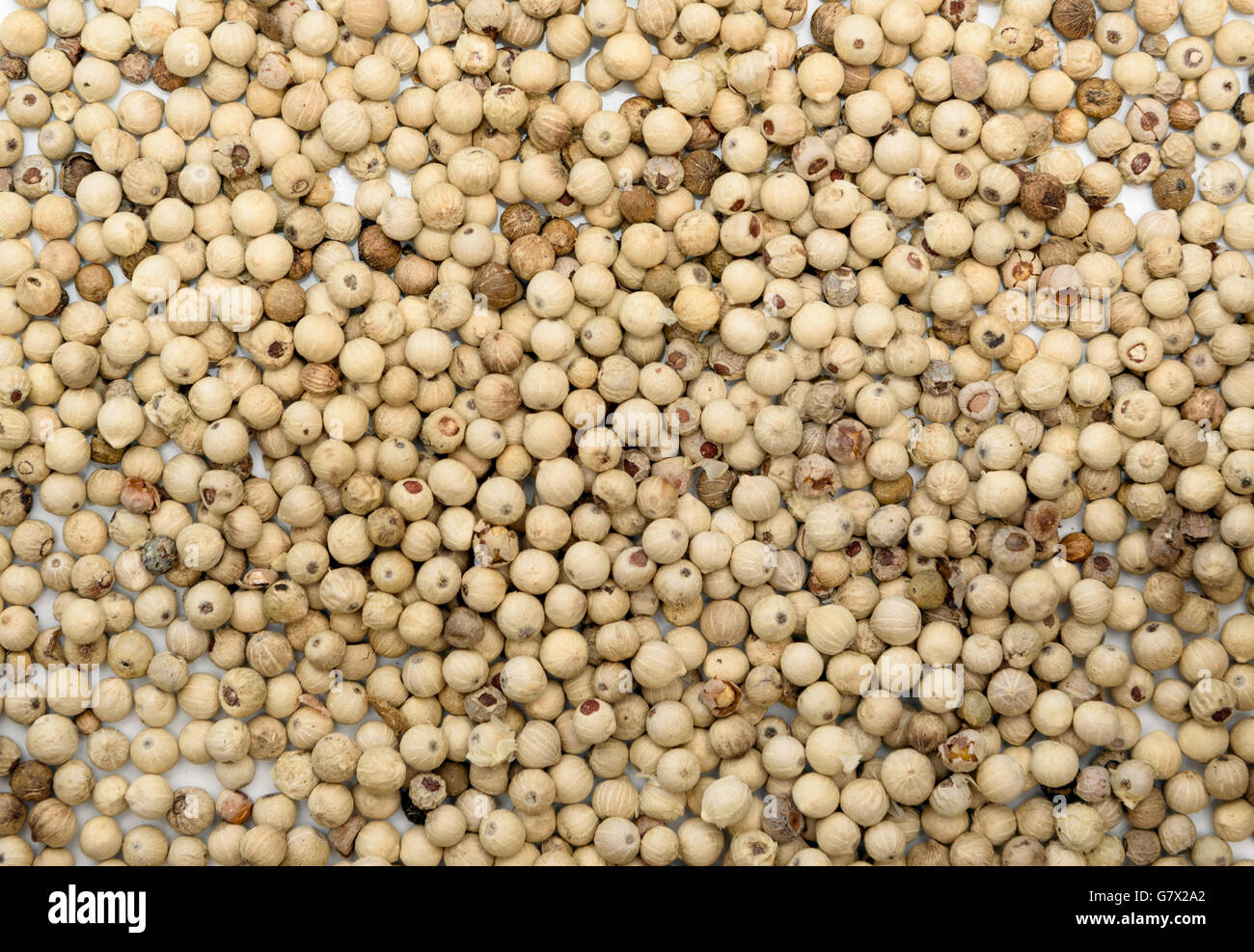 White pepper background Stock Photo - Alamy