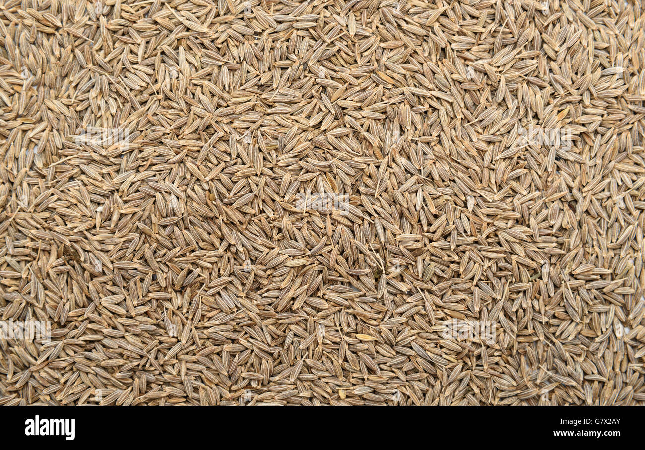 Cumin seeds background Stock Photo - Alamy
