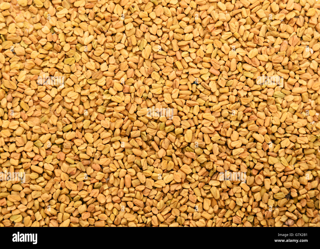 Seeds background hi-res stock photography and images - Alamy