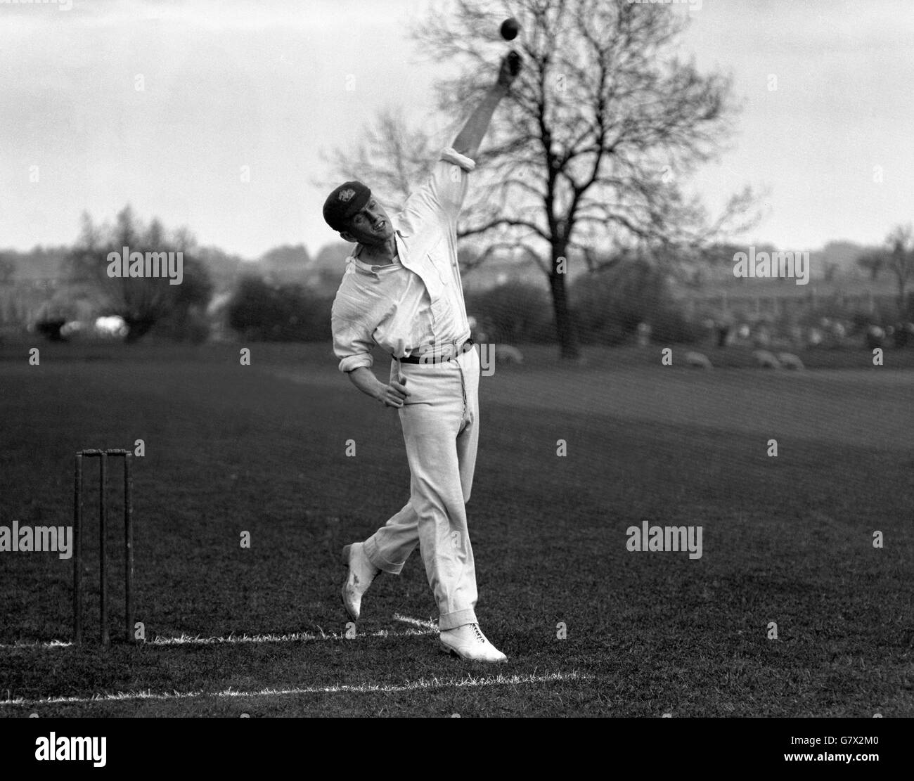 Blythe cricket hi-res stock photography and images - Alamy