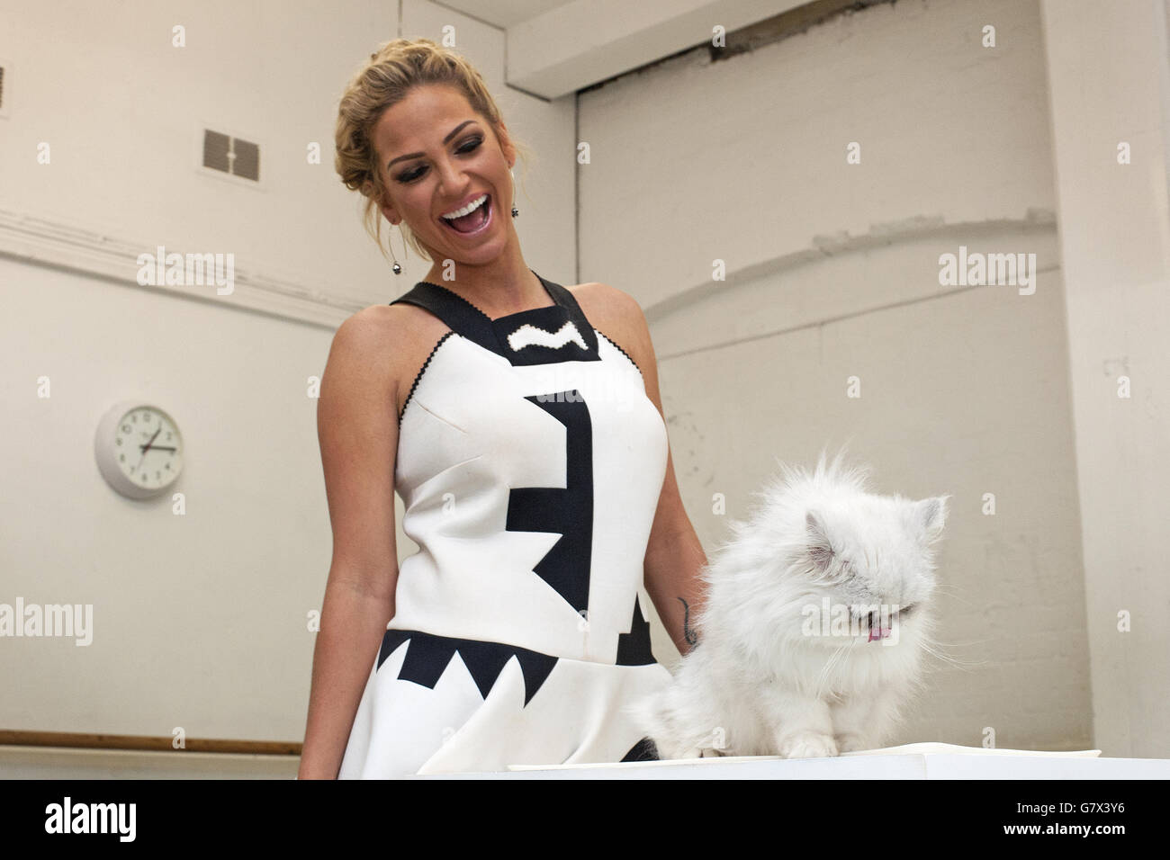 S happiest cat new face o2 refresh hi-res stock photography and images ...