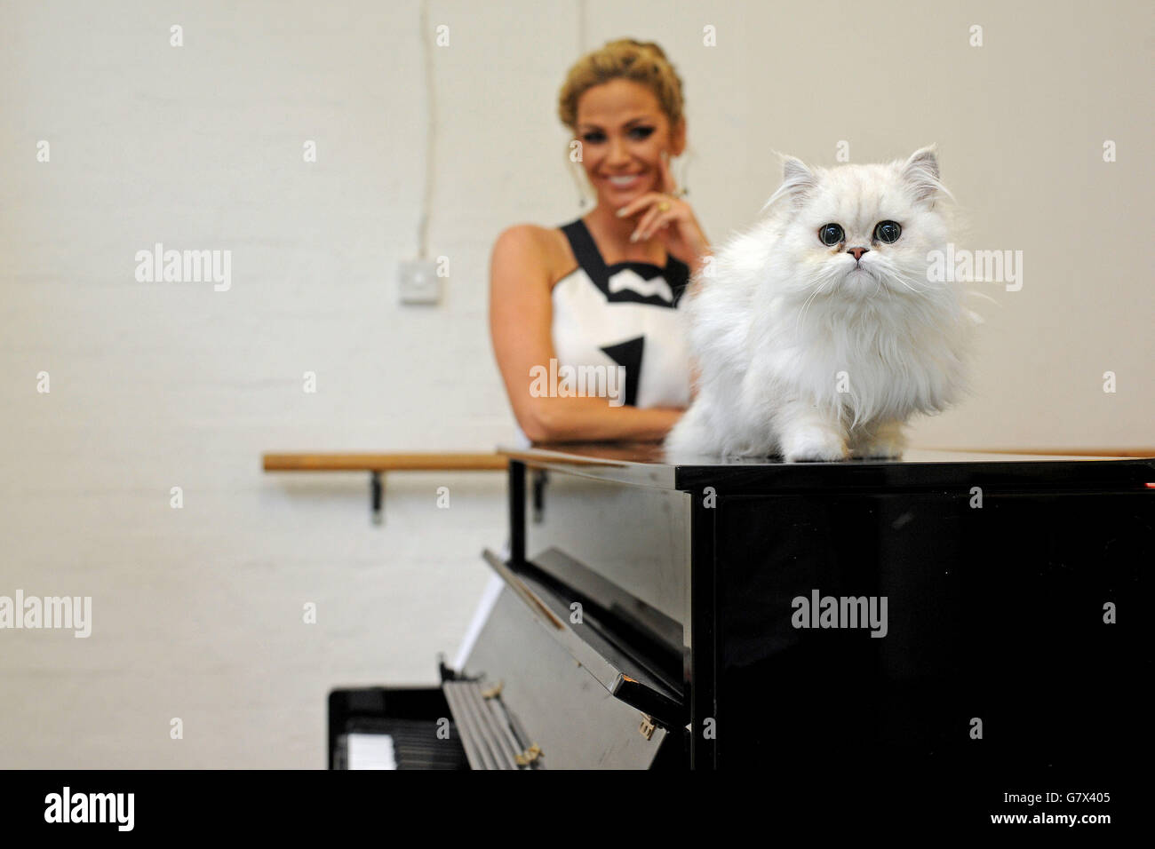 s Happiest Cat and the new face of O2 Refresh, the network's Pay ...