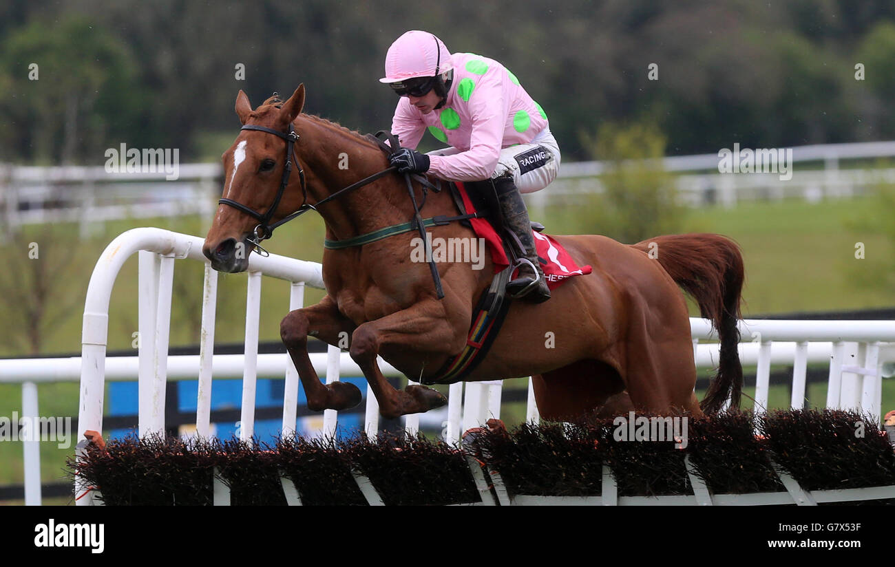 See pa story racing punchestown hi-res stock photography and images - Alamy