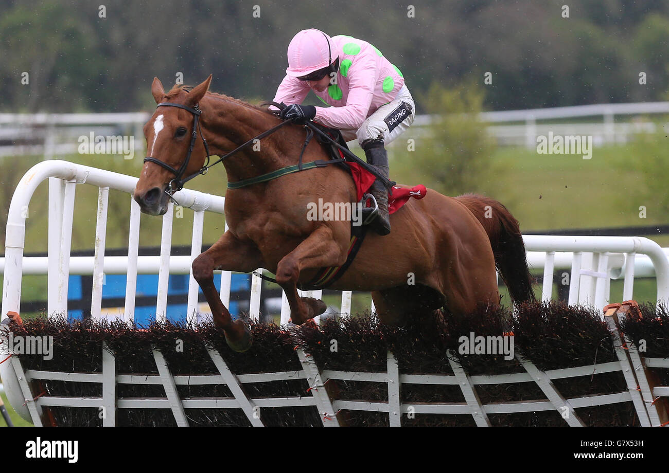 Annie Power ridden by Ruby Walsh jumps the last to win The Irish ...