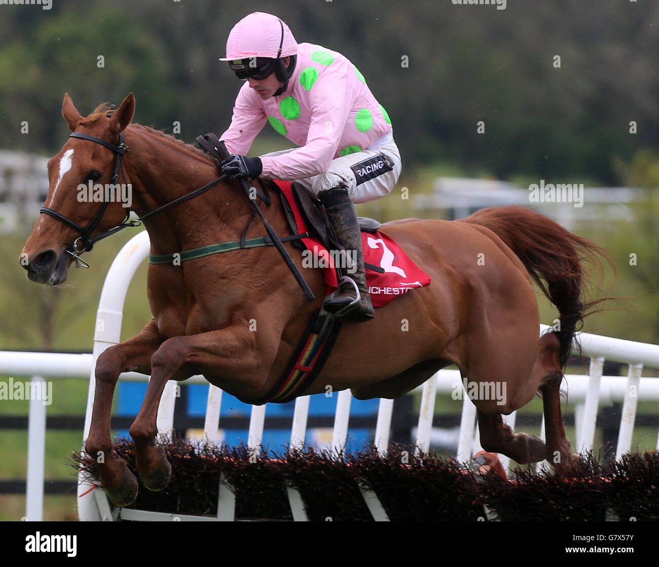Annie Power ridden by Ruby Walsh goes on to win The Irish Stallion ...