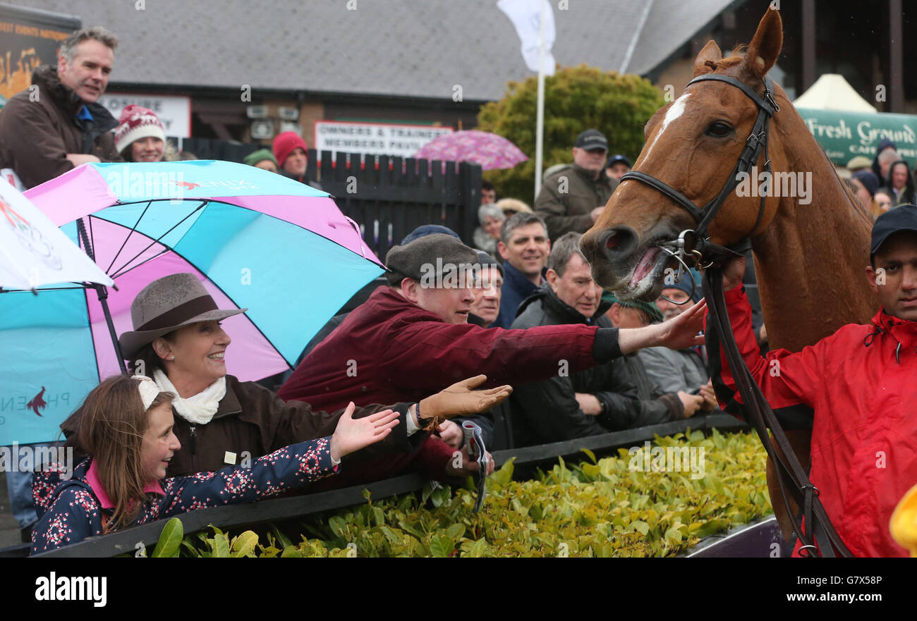 Annie Power is paraded to the public after winning The Irish Stallion ...
