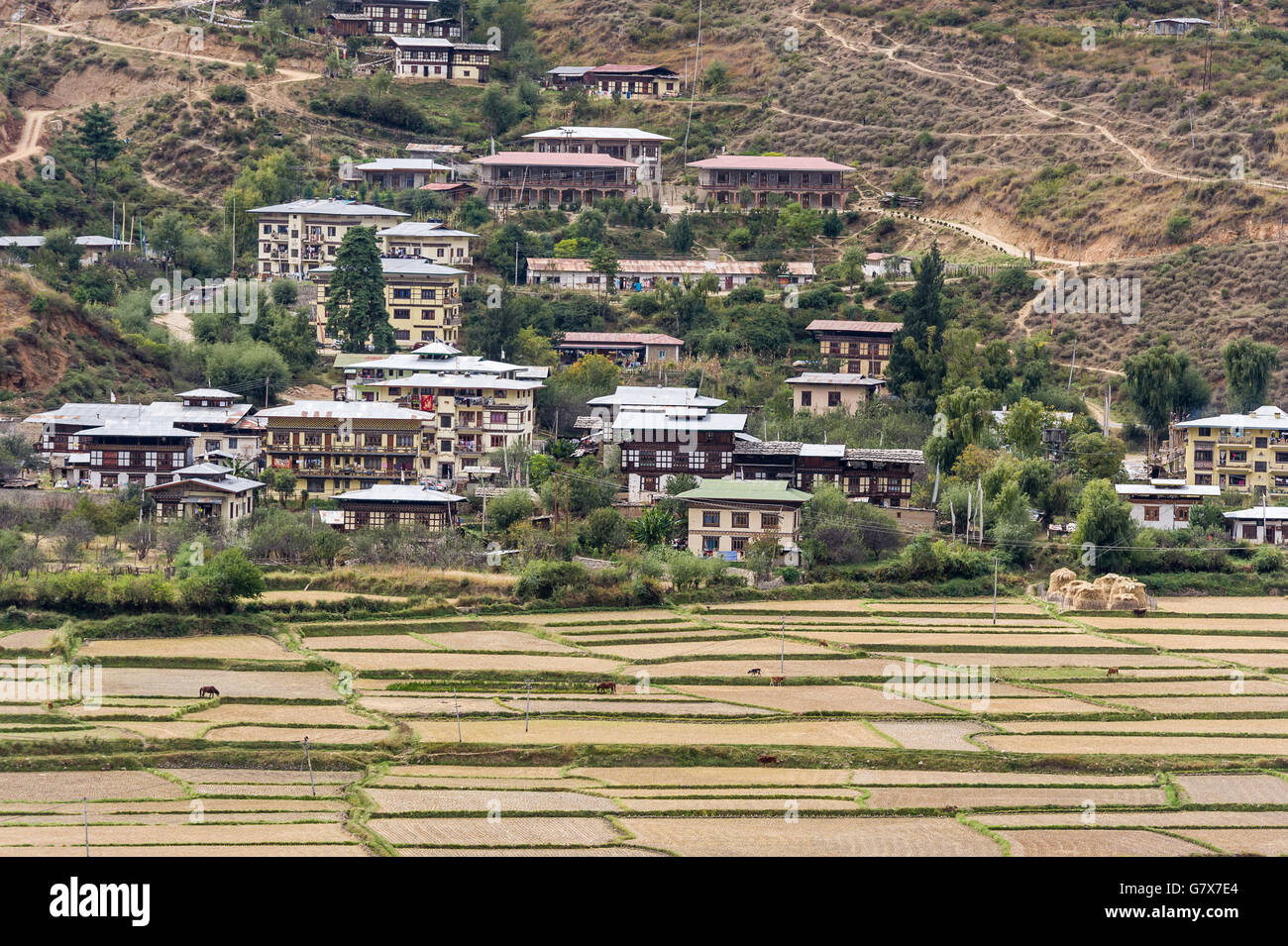 Aerial view of Bhutan landscape dotted with houses and buildings Stock ...