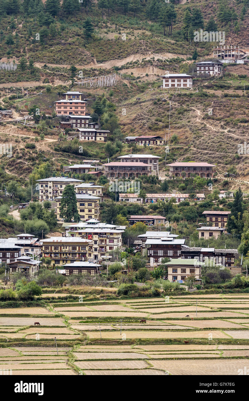 Aerial view of Bhutan landscape dotted with houses and buildings Stock ...