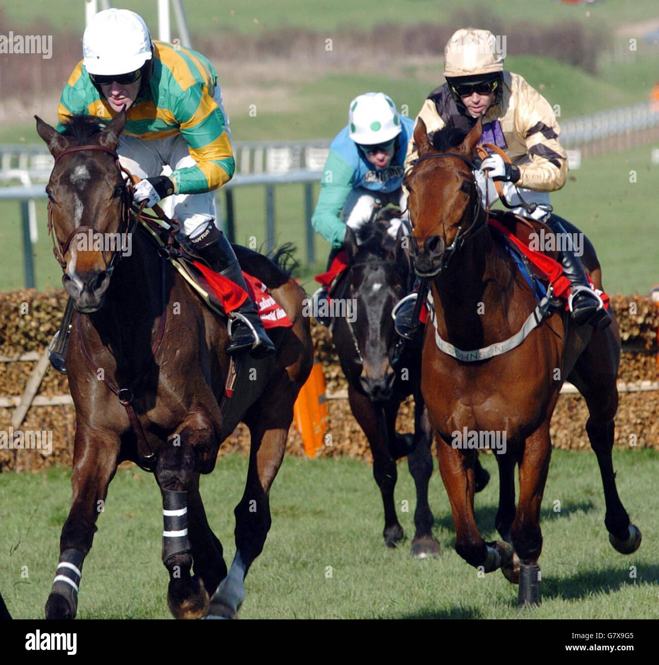 Jockey of inglis drever hi-res stock photography and images - Alamy