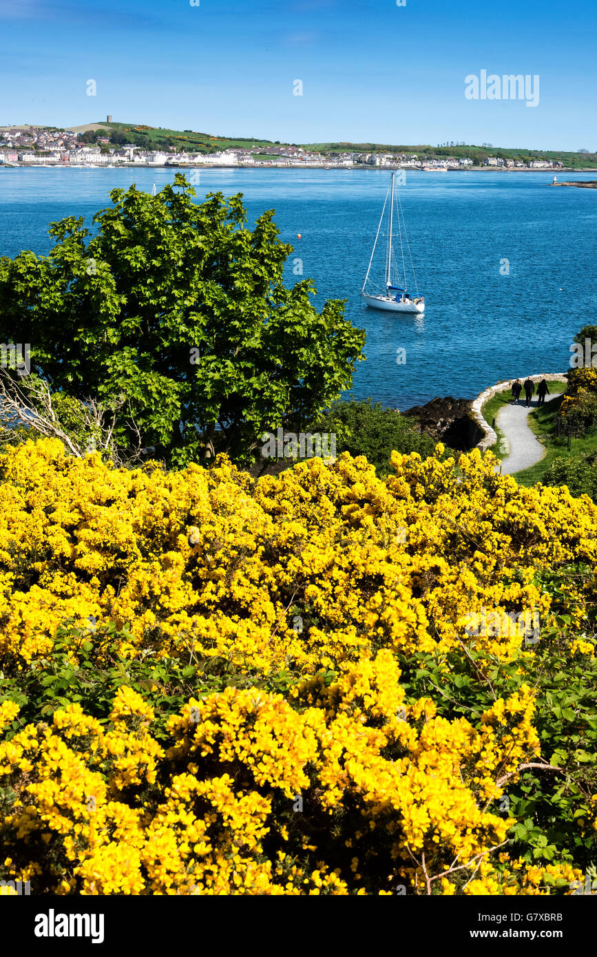 Portaferry from Strangford Lough, Co. Down, Northern Ireland Stock ...