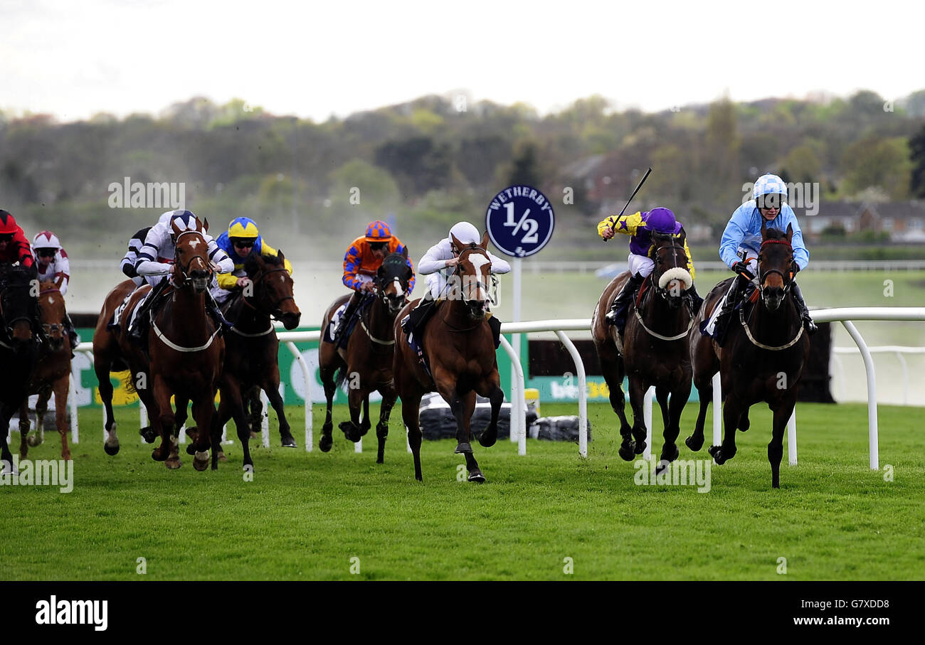 Wetherby racecourse hi-res stock photography and images - Alamy