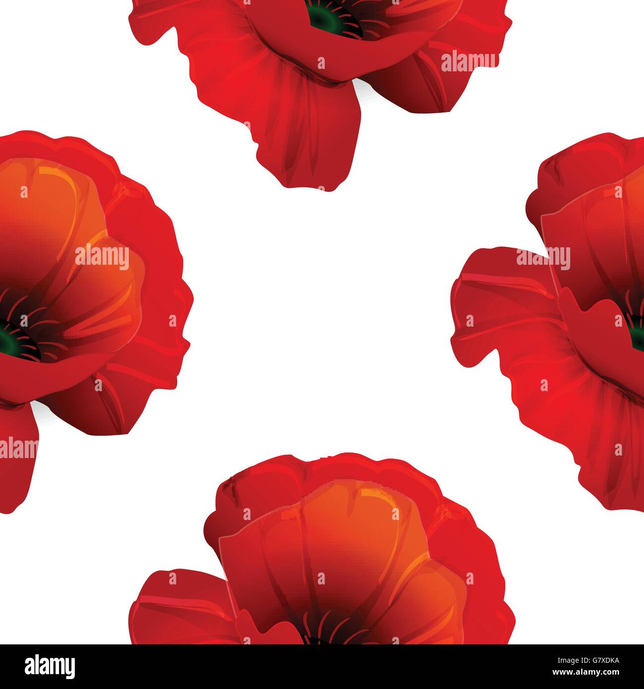 Poppy seamless pattern Stock Vector Image & Art - Alamy