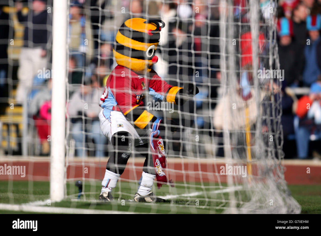 The blackburn rovers mascot hi-res stock photography and images - Alamy