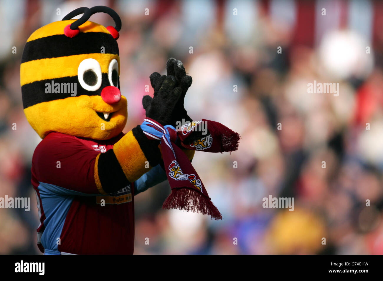 Mascot bertie bee hi-res stock photography and images - Alamy