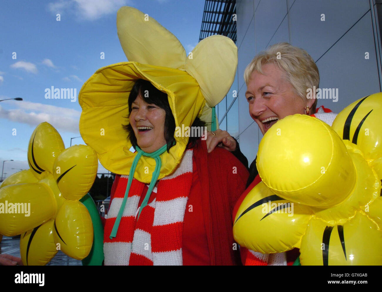 Welsh rugby fan glynis hughes arrives at edinburgh airport hi-res stock ...