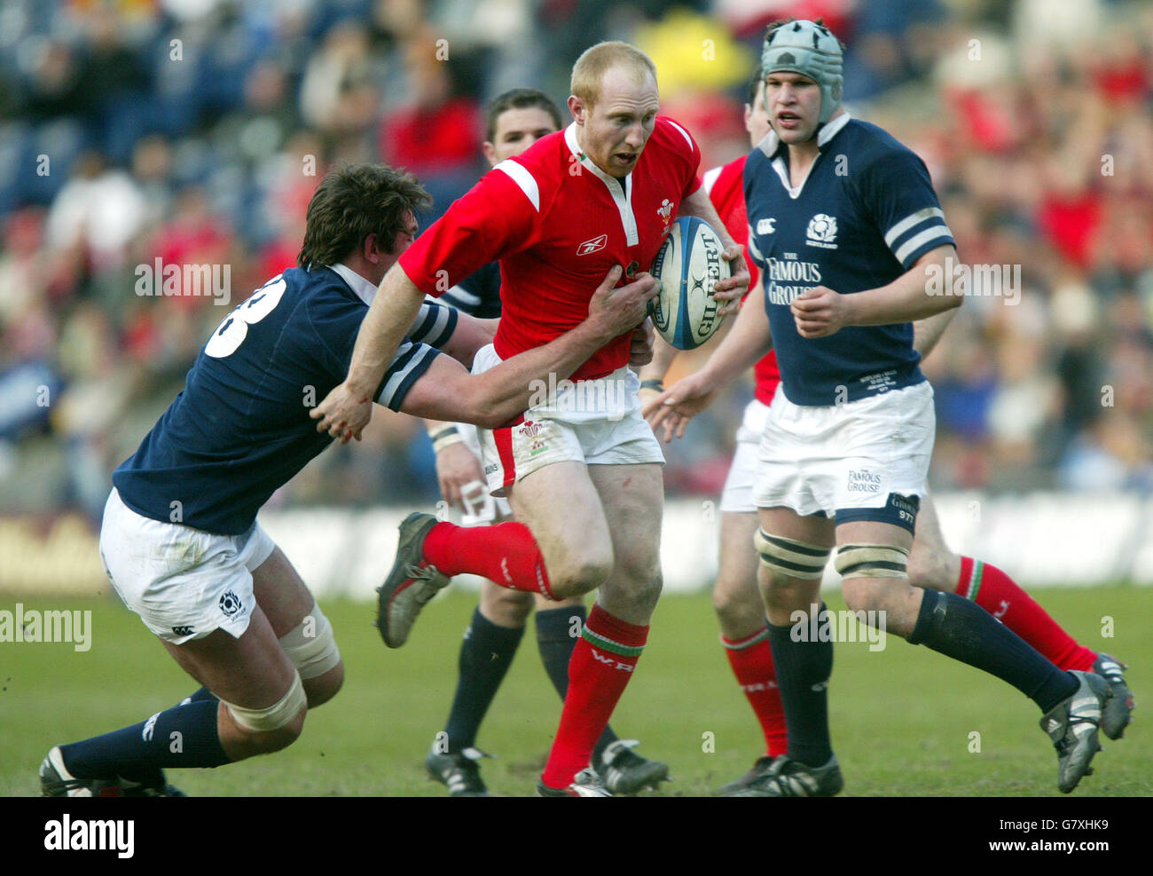 Scotlands nathan hines and wales tom shanklin hi-res stock photography ...