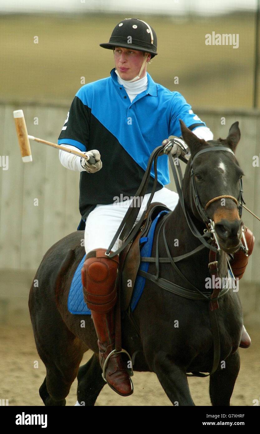Tsunami Charity Polo Match - Longdole Polo Club - Birdlip. Prince ...