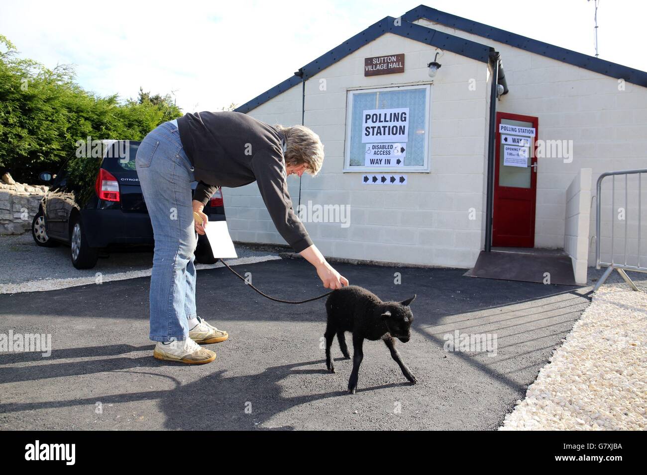 Judith Preston walks her pet lamb Beth as she attends Sutton village ...