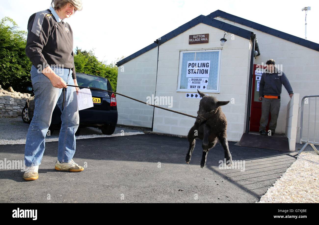 Judith Preston walks her pet lamb Beth as she attends Sutton village ...