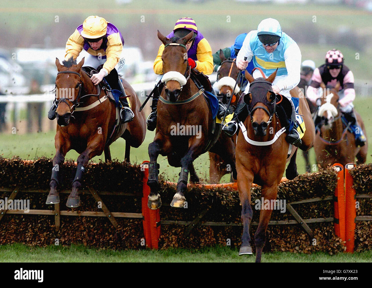 Harchibald High Resolution Stock Photography and Images - Alamy