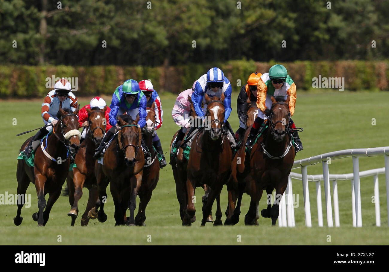 Horse Racing - Derrinstown Stud Derby Trial Day - Leopardstown ...
