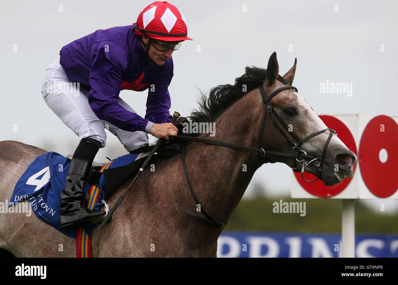 Success Days ridden by Shane Foley passes the finishing post to win the ...