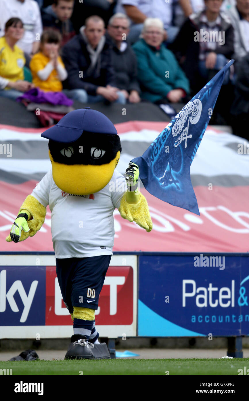 Deepdale duck hi-res stock photography and images - Alamy