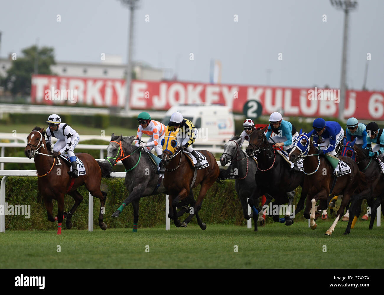 Rode horses hi-res stock photography and images - Alamy