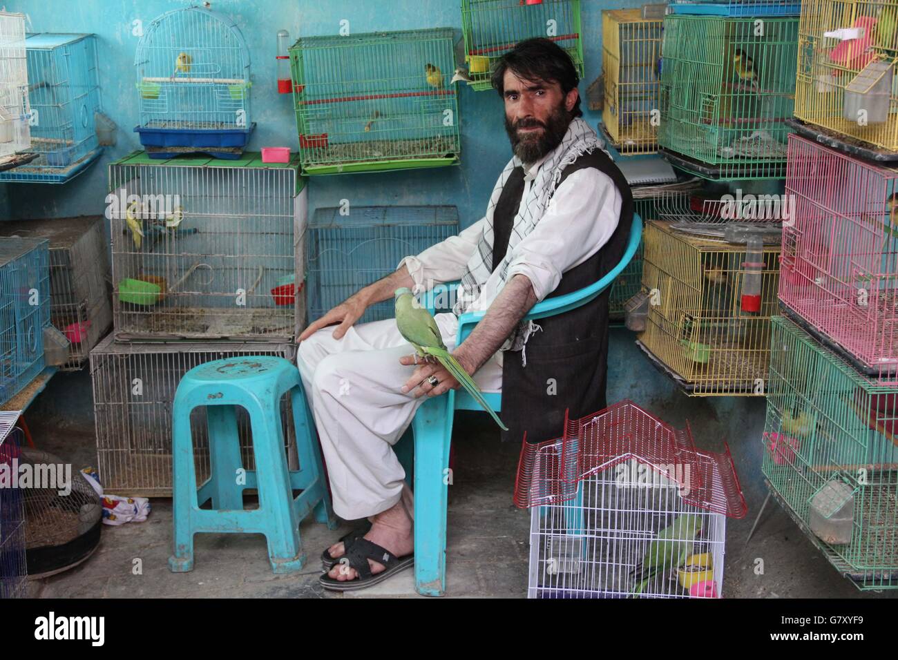 Kabul, Afghanistan. 09th June, 2016. Parrot and canary merchant Rahim ...