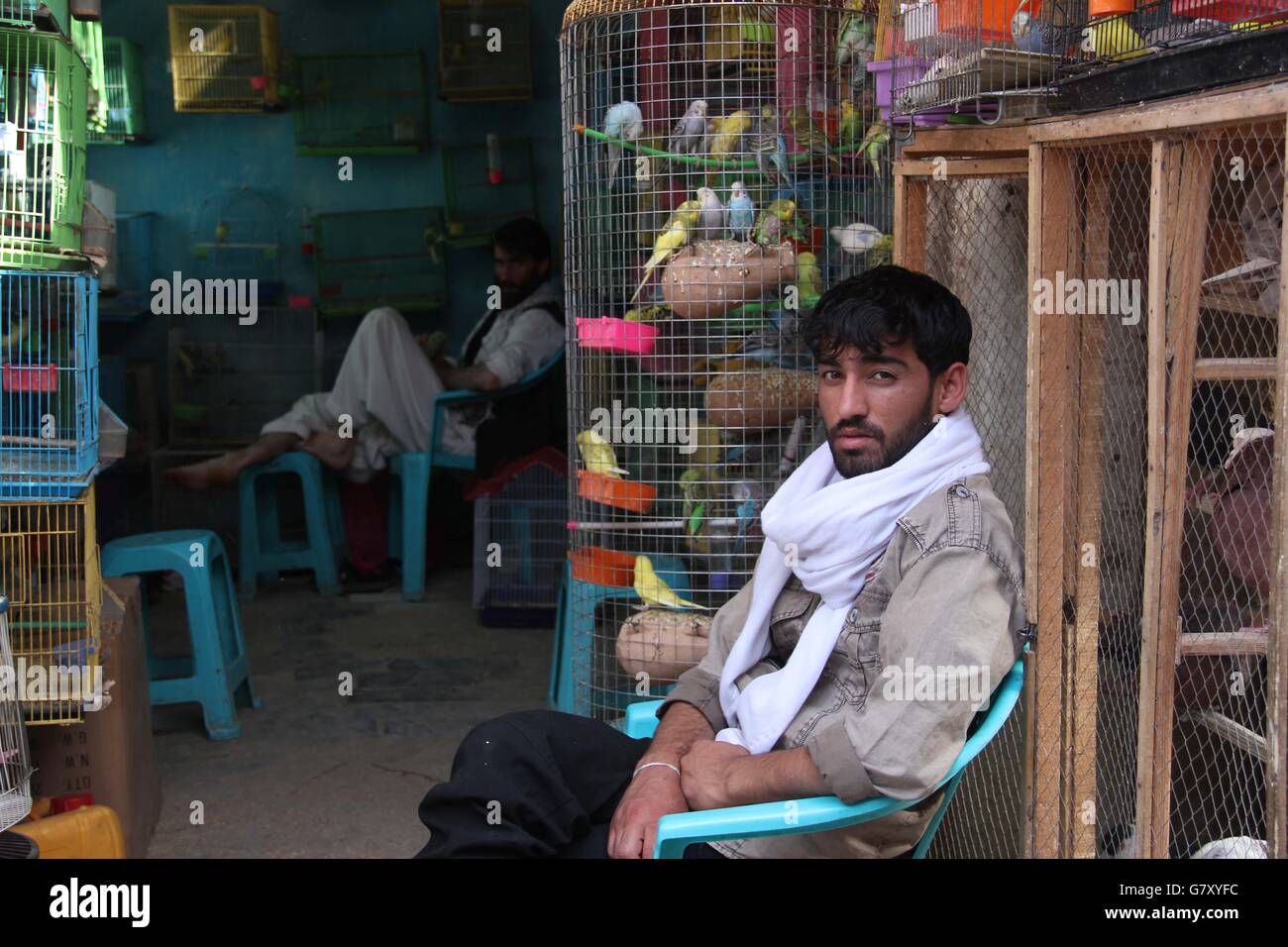 Kabul, Afghanistan. 09th June, 2016. Parrot and canary merchant Rahim ...