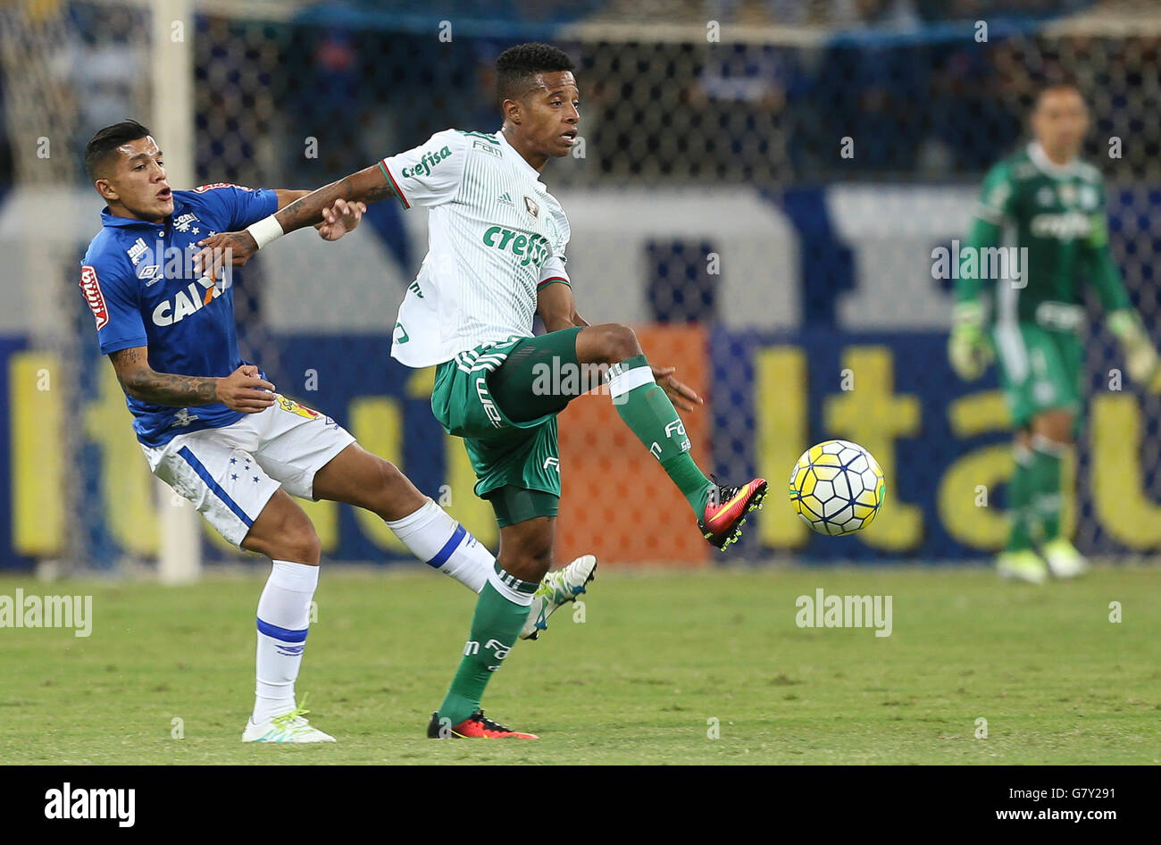 BELO HORIZNOTE, MG - 25/06/2016: CRUISE X PALM TREES - The Tche Tche ...