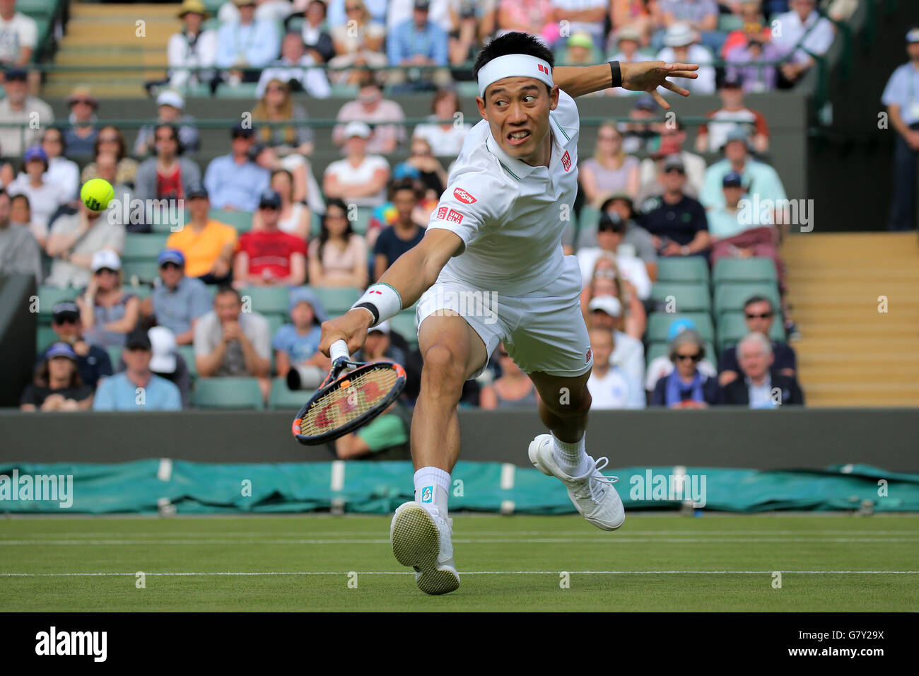 Kei Nishikori Japan The Wimbledon Championships 2016 The All England ...