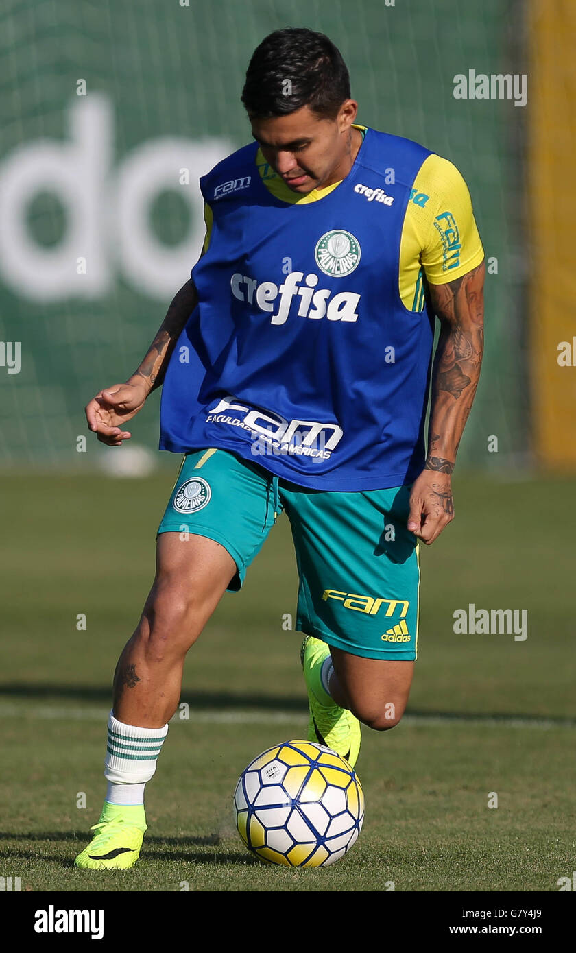 SAO PAULO, Brazil - 27/06/2016: TRAINING OF PALM TREES - Dudu player ...