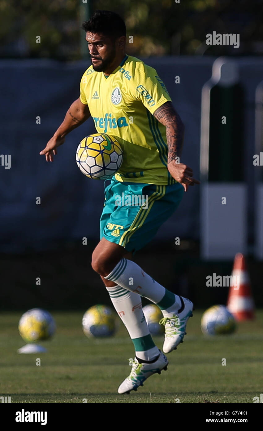 SAO PAULO, Brazil - 06/27/2016: TRAINING OF TREES - The player Luan ...