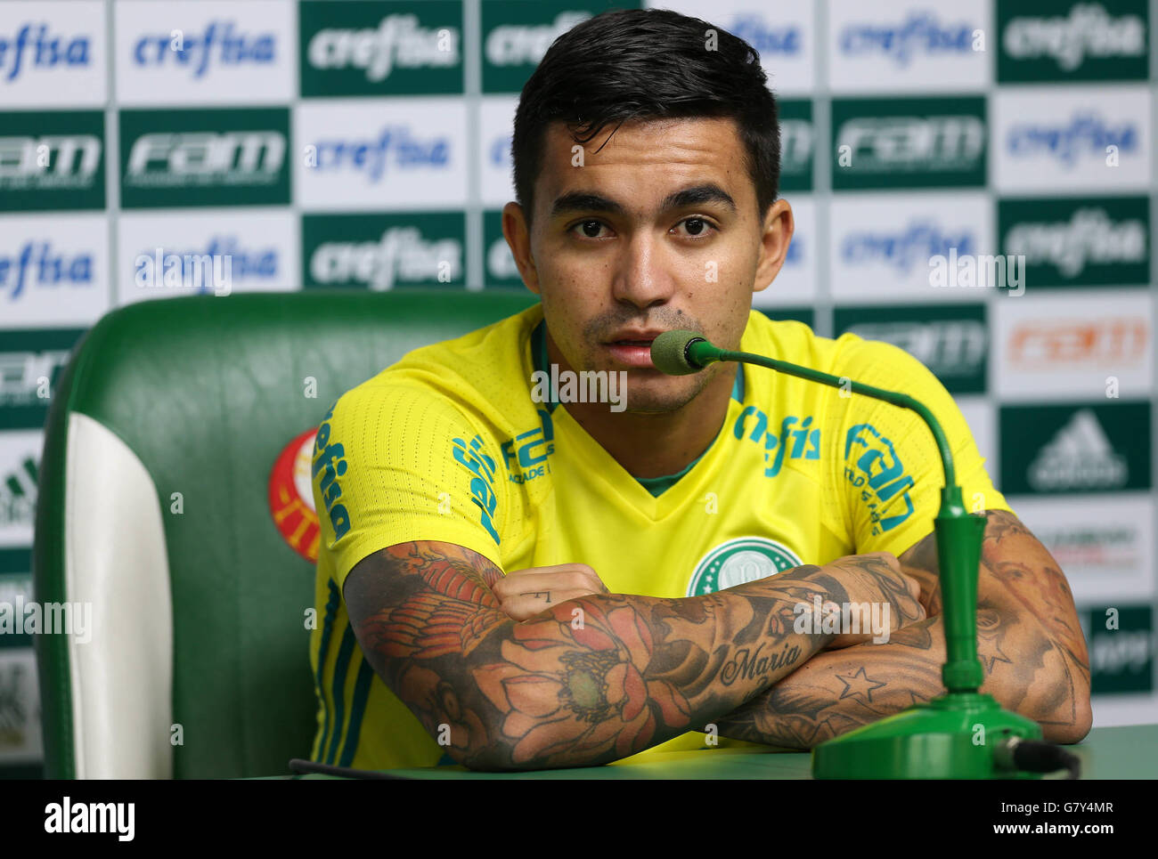 SAO PAULO, Brazil - 06/27/2016: TRAINING OF PALM TREES - Dudu player ...