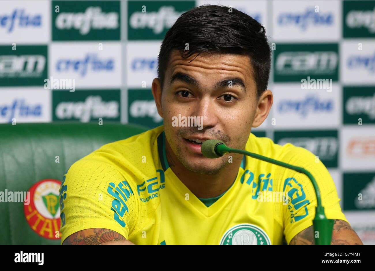 SAO PAULO, Brazil - 06/27/2016: TRAINING OF PALM TREES - Dudu player ...