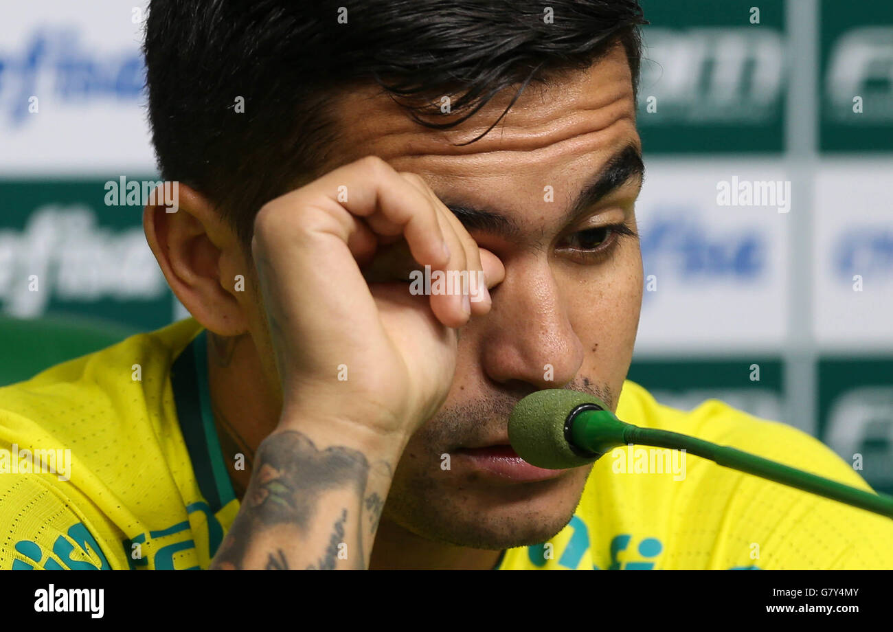 SAO PAULO, Brazil - 06/27/2016: TRAINING OF PALM TREES - Dudu player ...