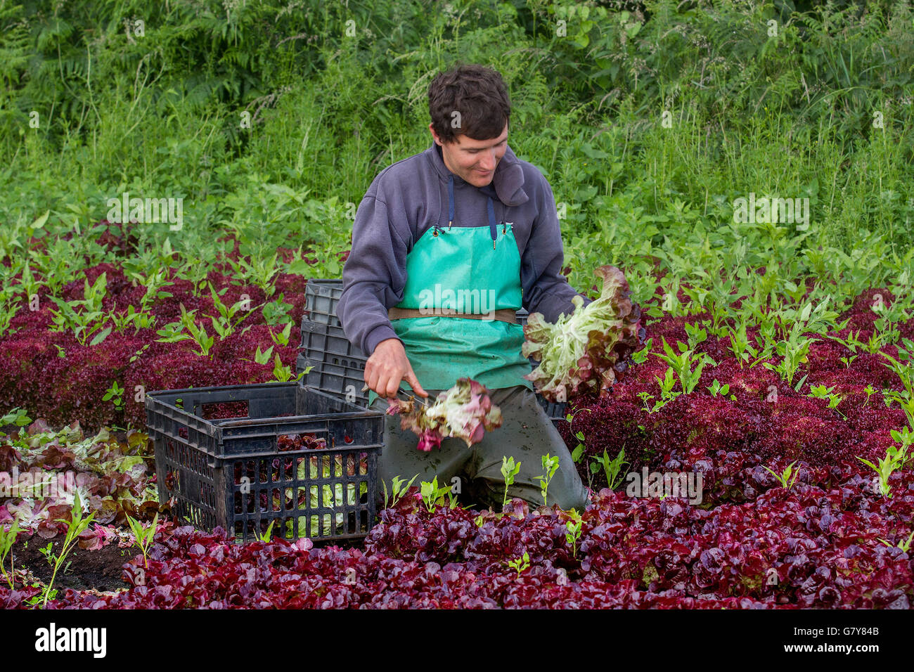 English workers breaking hi-res stock photography and images - Alamy