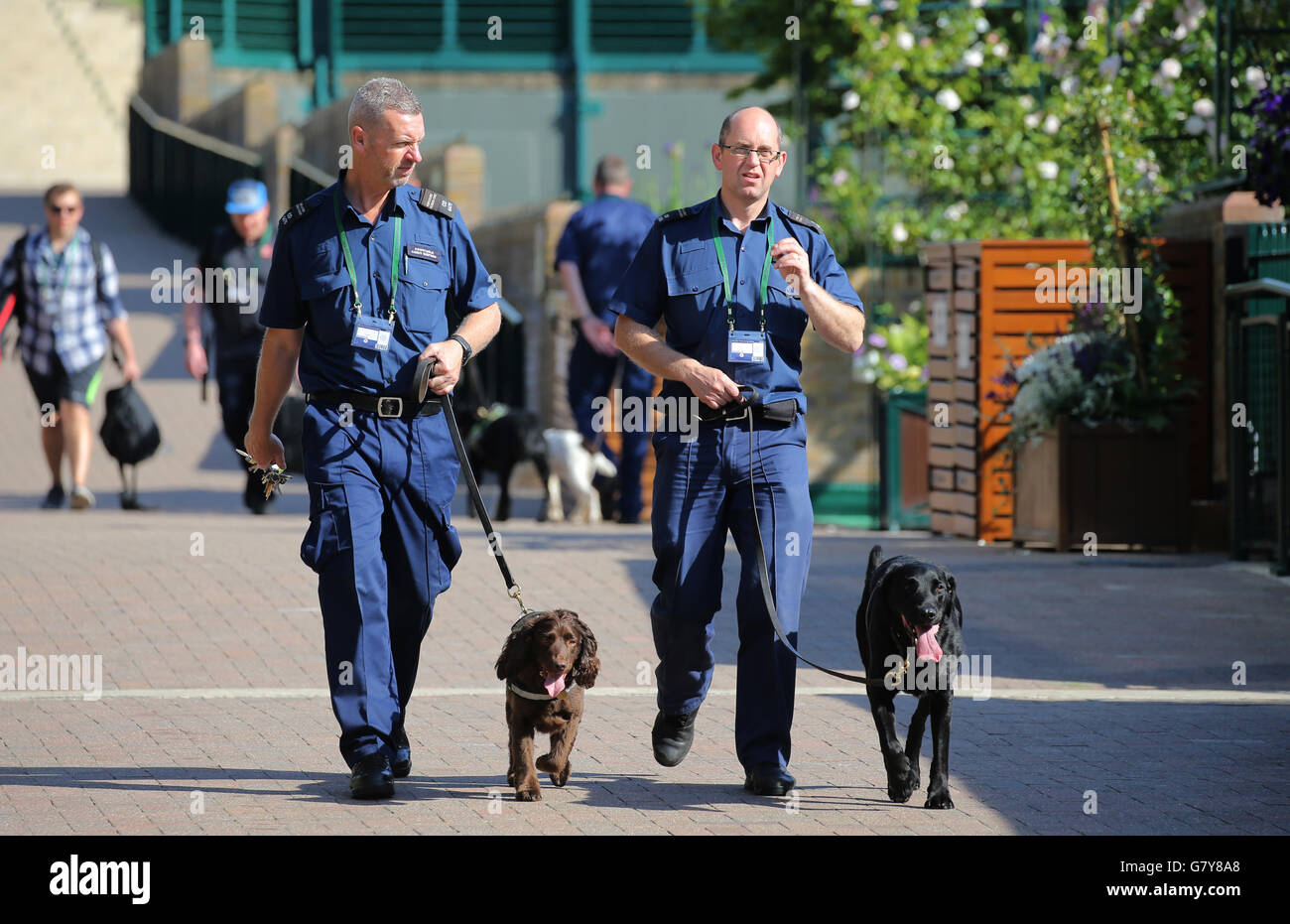 Detection dogs uk hi-res stock photography and images - Alamy